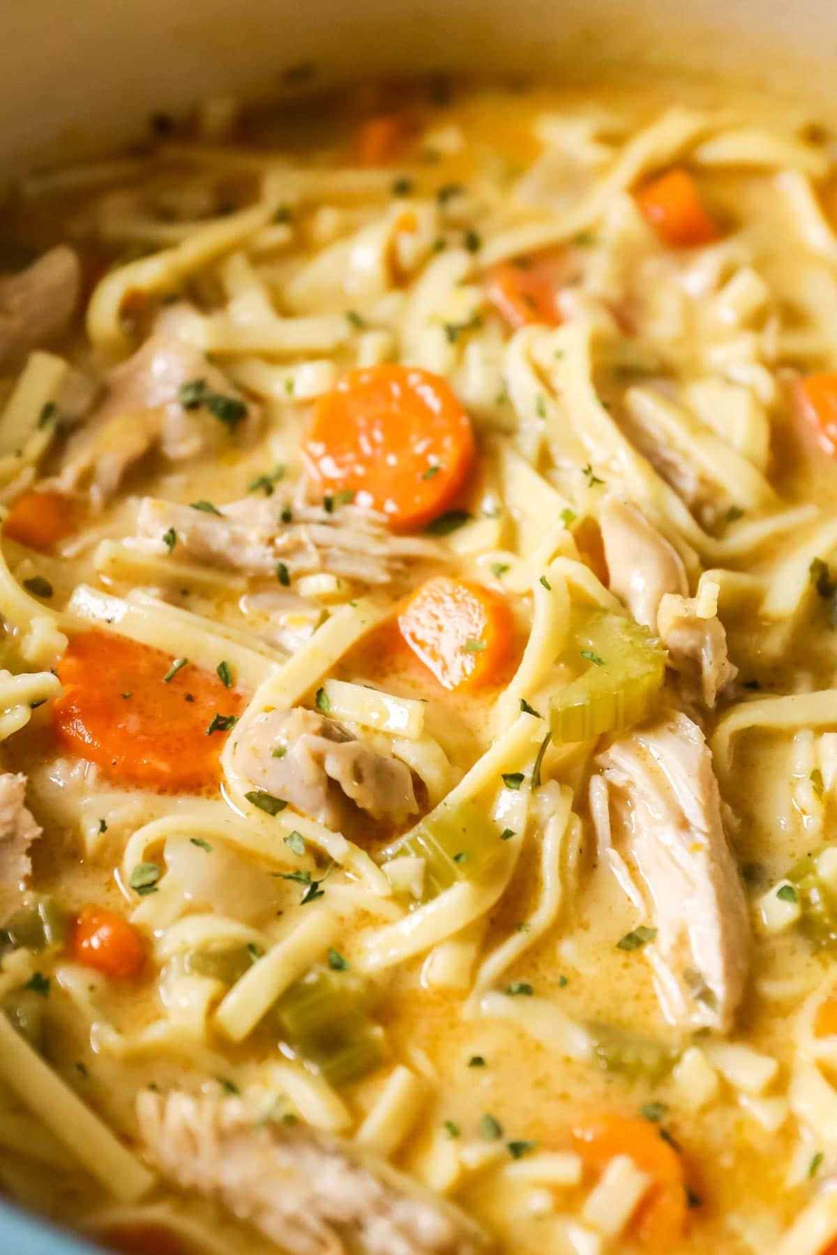 Simple Chicken Noodle Soup: Egg Noodles | Savory Touch